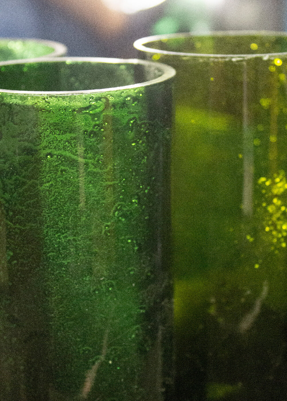 ATELIER LUCILE VIAUD — ↀVERRE MARIN GLAZ