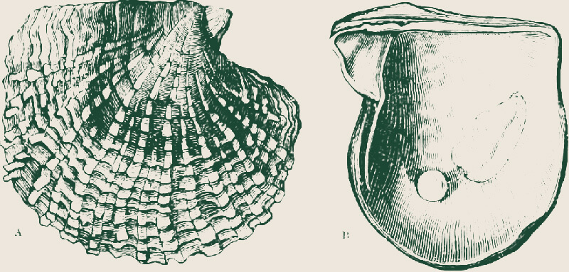 ATELIER LUCILE VIAUD — ↀVERRE MARIN GLAZ